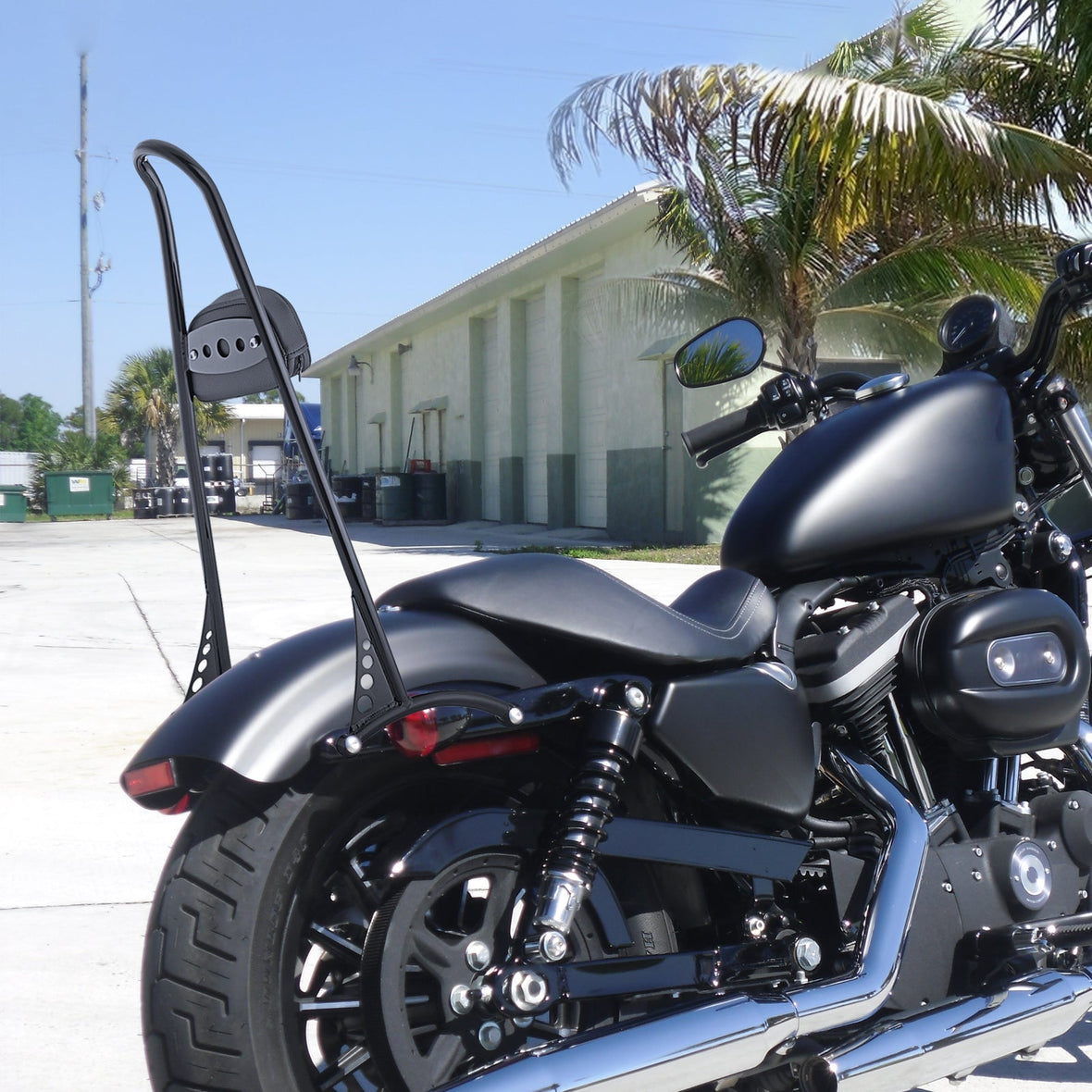 2004-2022 Harley Sportster XL 1200 883 23" Tall Detachable Passenger B ...